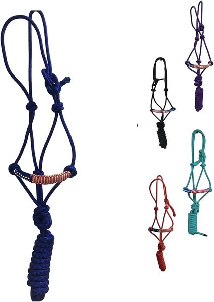 MAJESTIC ALLY Horse Nose Poly Rope & Halter, Royal Blue - Chewy.com
