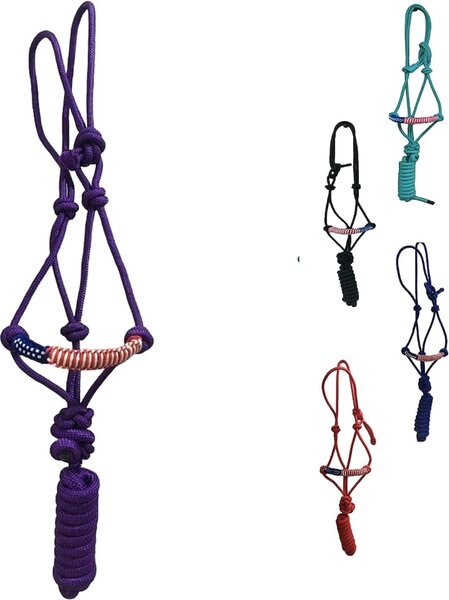 MAJESTIC ALLY Horse Nose Poly Rope & Halter, Purple - Chewy.com
