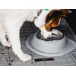 WEATHERTECH Single Low Poly Bowl Cat & Dog Pet Feeding System, Light ...