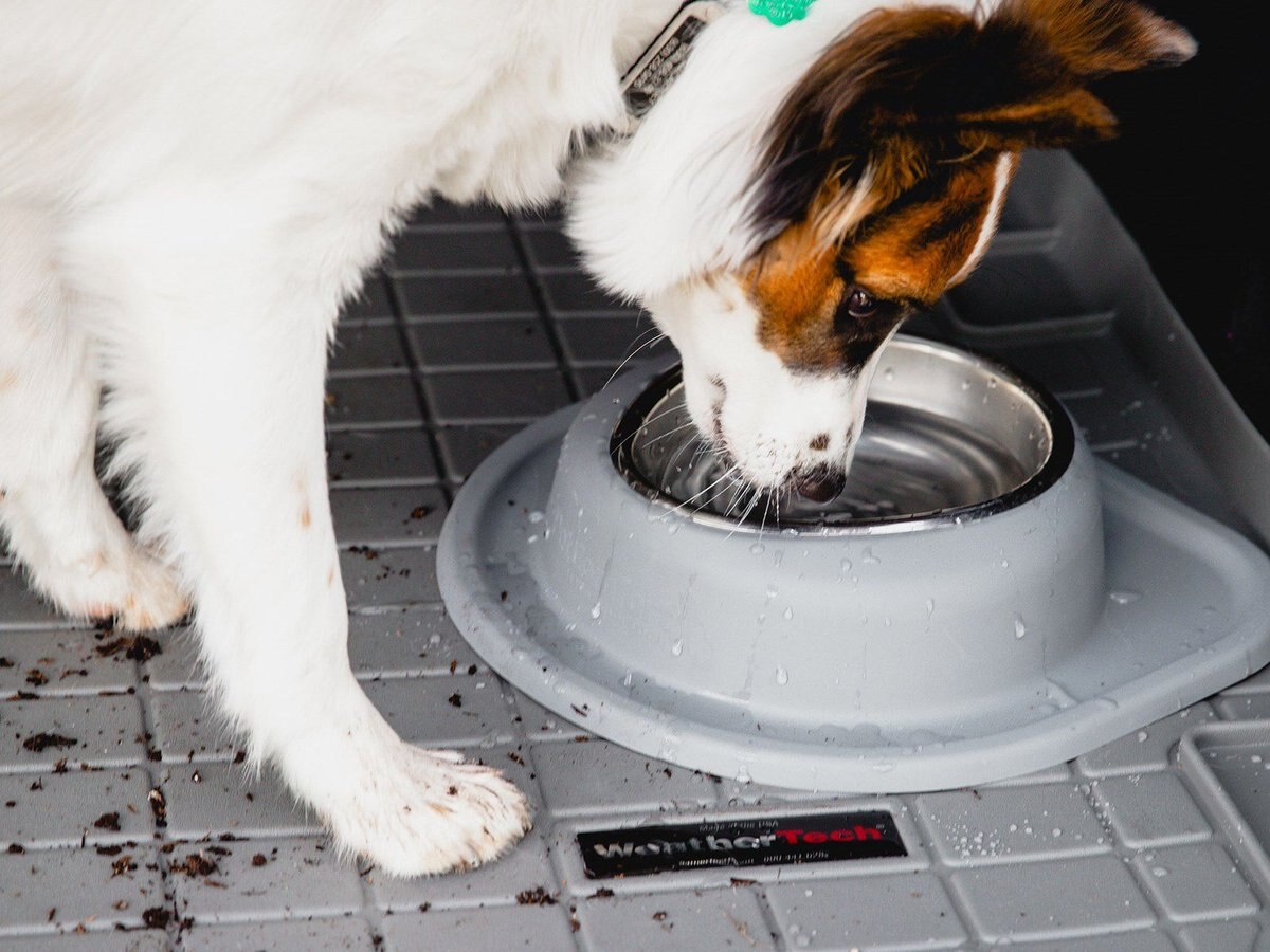 WEATHERTECH Single Low Stainless Steel Cat & Dog Pet Feeding System ...