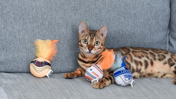 Discontinued - FETCH FOR PETS STAR WARS WA C3PO, BB8, R2D2 Jingle Bell ...