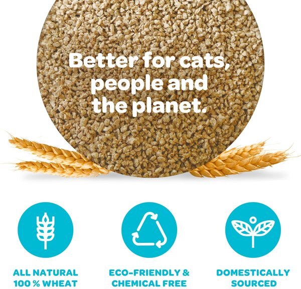 New Version Available - SWHEAT SCOOP Original Natural Clumping Wheat ...