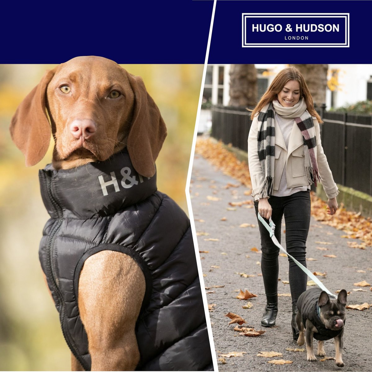 HUGO & HUDSON Reversible Insulated Dog Puffer Jacket, Black, Large ...