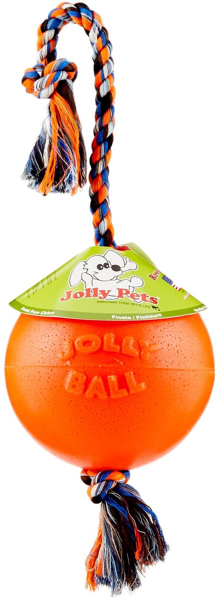 JOLLY PETS Romp-n-Roll Dog Toy, Orange, 8-in - Chewy.com