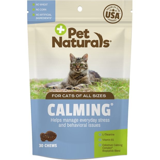 Cat Calming Aids: Calming Chews, Sprays & More (Free Shipping) | Chewy