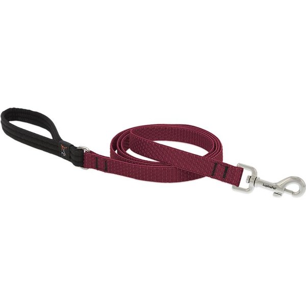 LOOPS 2 Double Handle Dog Leash, Red - Chewy.com
