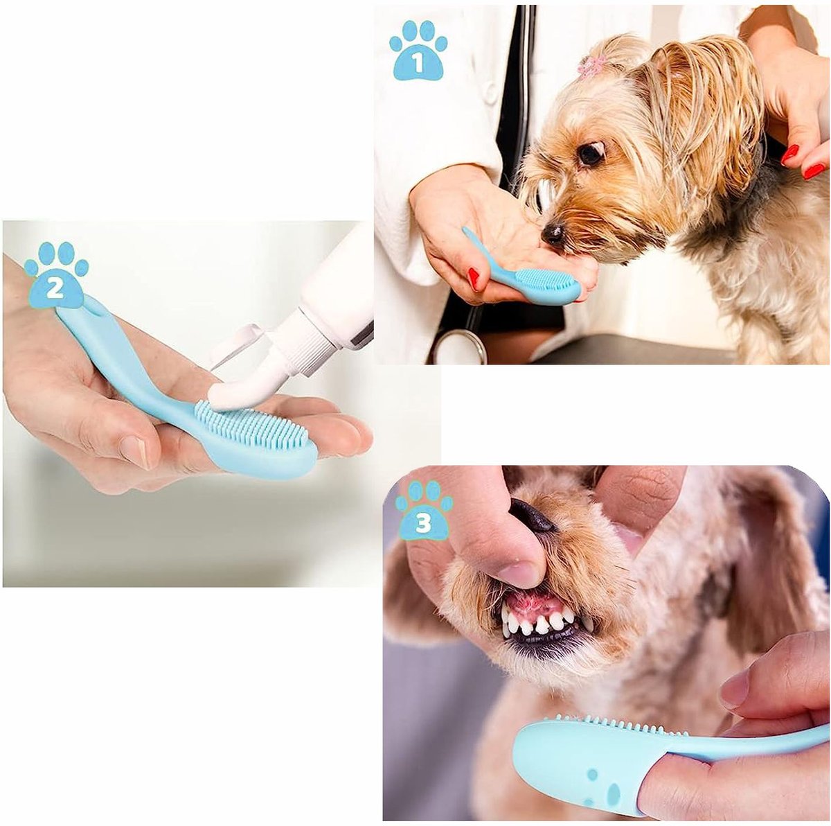 PET REPUBLIQUE Finger Insert Style Toothbrush for Dogs & Cats, 3 count ...