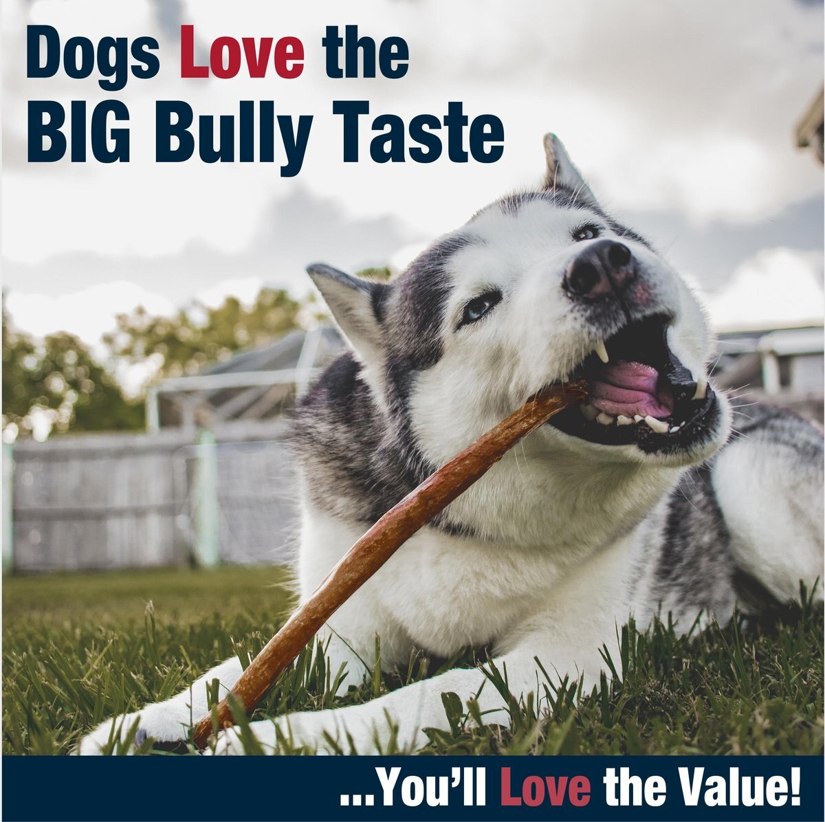 CADET Bully Hide Sticks All-Natural Dog Chews, Large, 7 count - Chewy.com