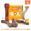 NYLABONE The Box Chew Toy & Treat Gift Box for Large Dogs - Chewy.com