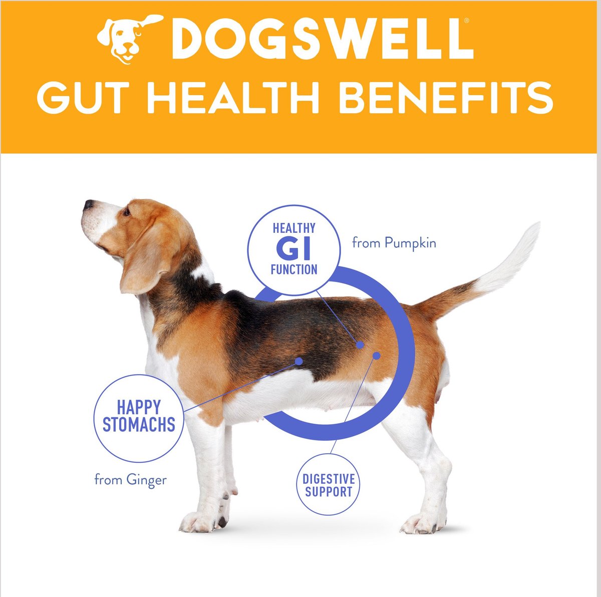DOGSWELL Gut Health Slices Chicken Functional Soft & Chewy Dog Treats ...