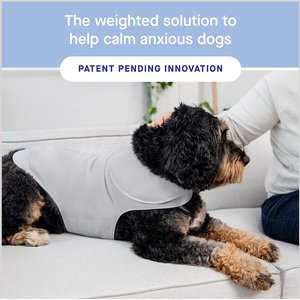4 Best Dog Anxiety Vests 2024: According to Reviews | Chewy