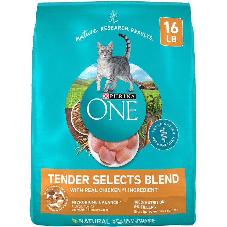 Shop Everyday Favorite Dry Cat Food - Free shipping | Chewy