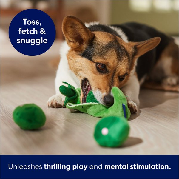 FRISCO Peapod & Peas 2-in-1 Rip for Surprise Plush Squeaky Dog Toy ...