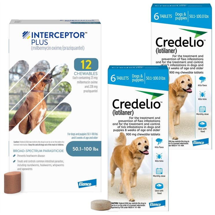 Interceptor Plus - Free shipping | Chewy
