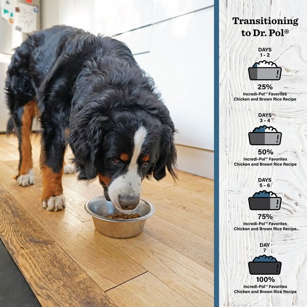 DR. POL Incredi-Pol Favorites Chicken & Brown Rice Dog Food, 6-lb bag ...