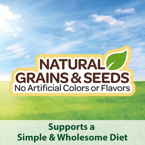 KAYTEE Supreme Parrot Food, 20-lb bag - Chewy.com