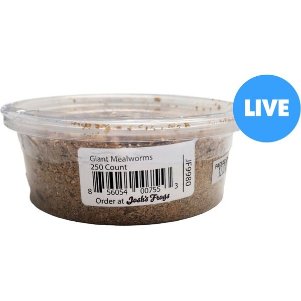 EXOTIC NUTRITION Live Mealworms Reptile Food, Giant, 250 count - Chewy.com