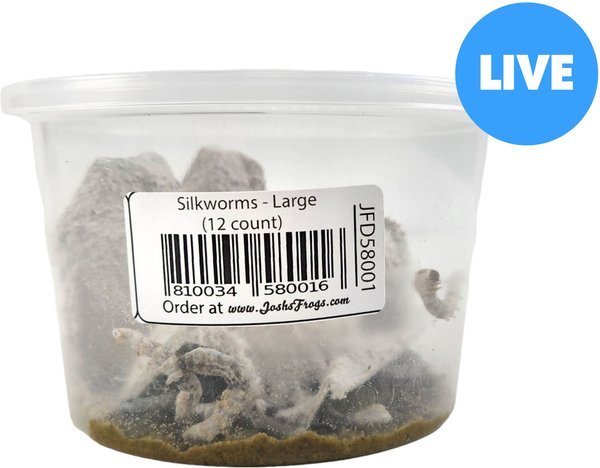 JOSH'S FROGS Silkworms Live Feed Reptile Food, Large, 12 count - Chewy.com