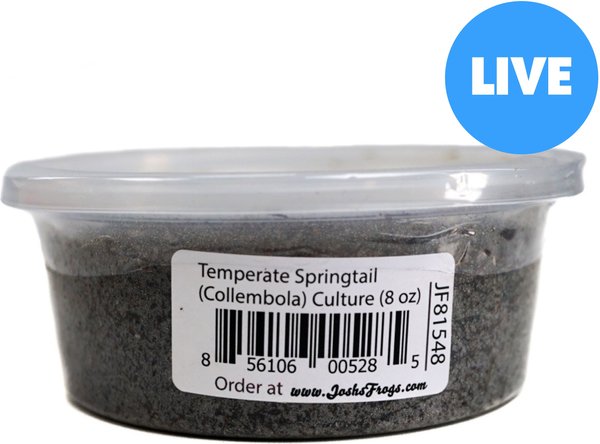 Temporarily Unavailable - JOSH'S FROGS Temperate Springtail Collembola ...