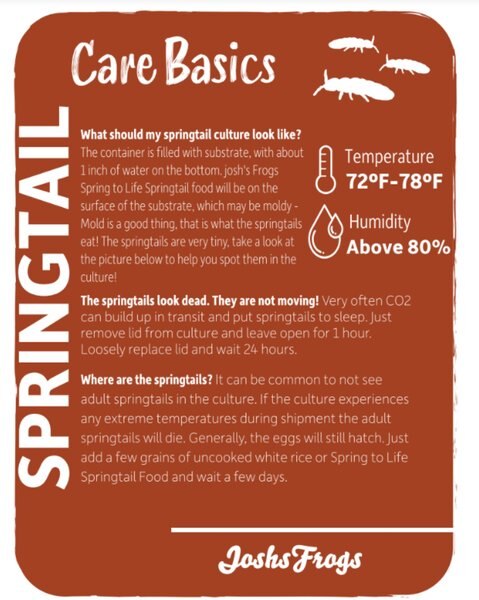 Temporarily Unavailable - JOSH'S FROGS Temperate Springtail Collembola ...