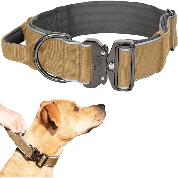 REFLECTIVE DOG COLLARS (Free Shipping) | Chewy