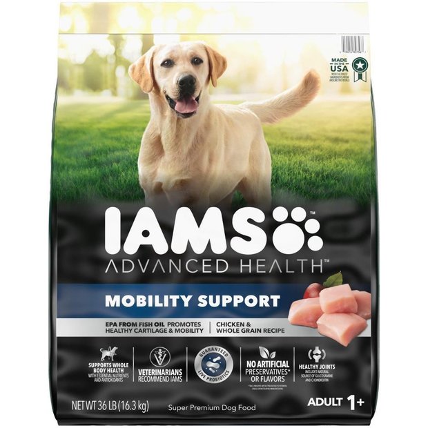 IAMS DOG FOOD (Free Shipping) | Chewy