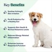 PAWFY Allergy & Immune Turkey Flavor Dog Supplement, 30 count - Chewy.com