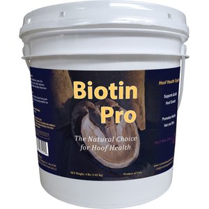 NUTRA CELL LABS Biotin Pro Powder Horse Supplement, 4-lb tub - Chewy.com