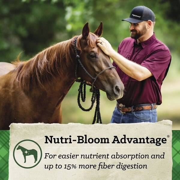 NUTRENA SafeChoice Senior Molasses Free Horse Feed, 50-lb bag - Chewy.com