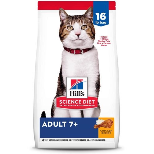 HILL'S SCIENCE DIET DRY CAT FOOD (Free Shipping) | Chewy