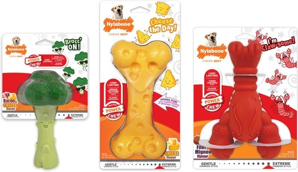 NYLABONE Power Chew Lobster, Cheese, & Broccoli Dog Chew Toy Bundle ...