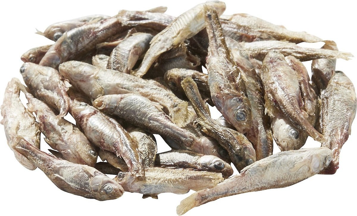 New Version Available - VITAL ESSENTIALS Minnows Freeze-Dried Raw Dog ...