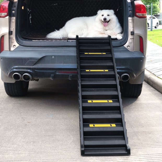 LARGE BREEDS DOG STEPS, STAIRS & RAMPS (Free Shipping) | Chewy