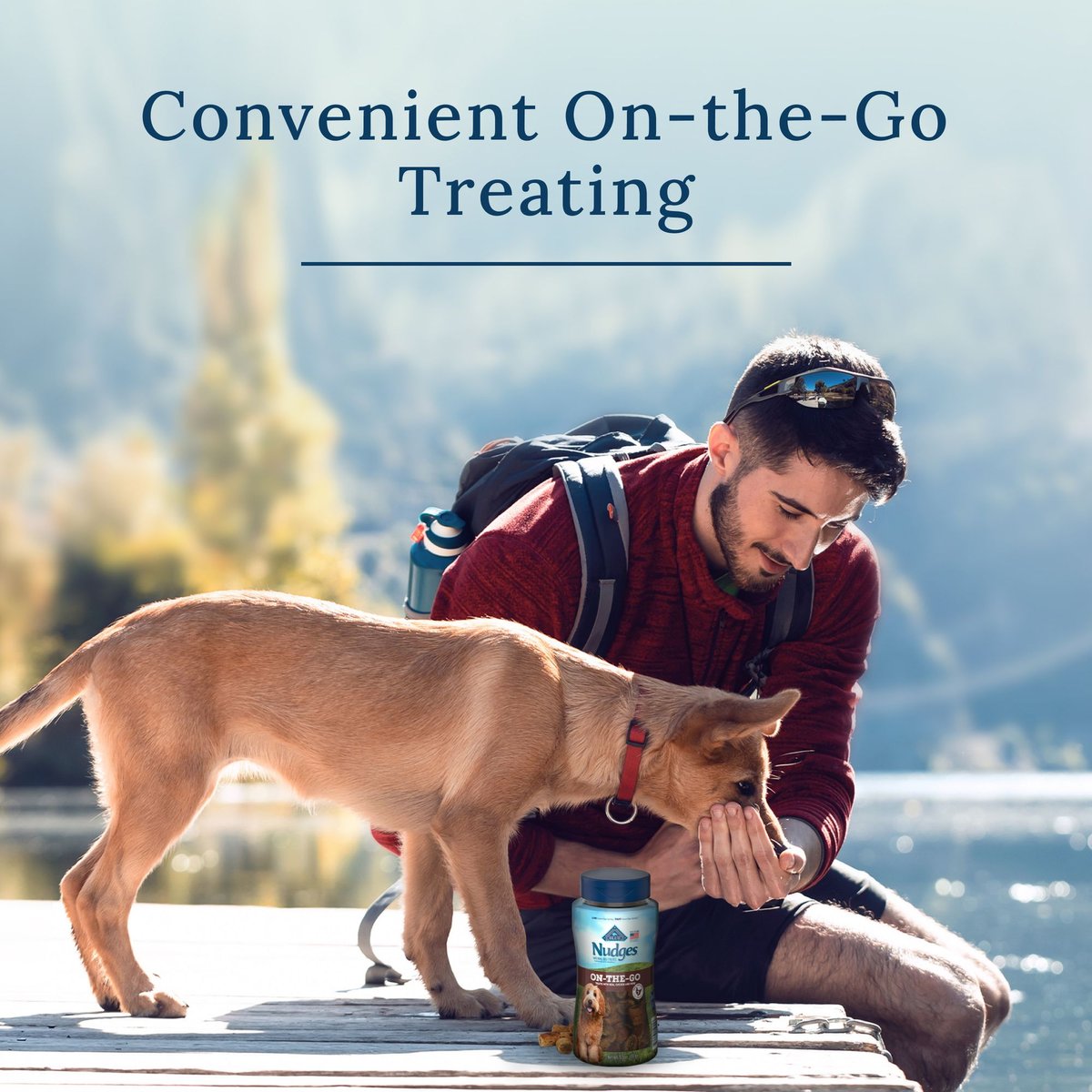 BLUE BUFFALO Nudges On The Go Chicken & Pork Natural Dog Treats, 5.5-oz ...