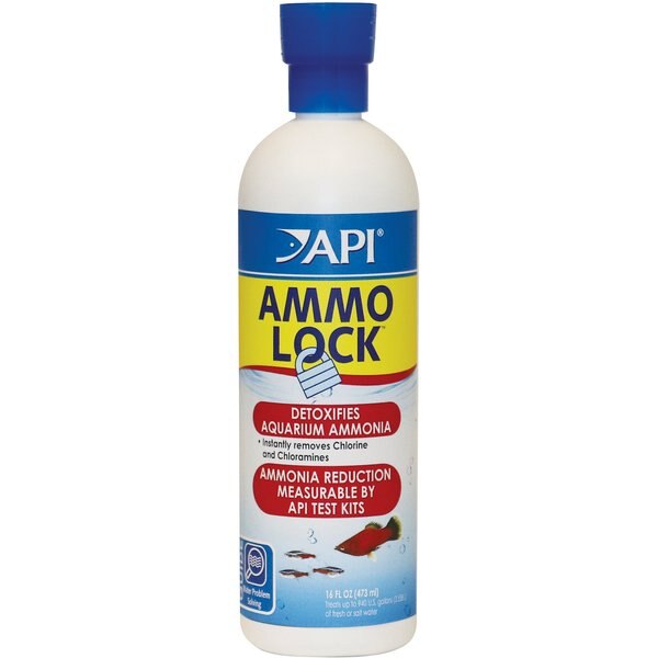 API Ammo-Lock Freshwater & Saltwater Aquarium Ammonia Detoxifier, 16-oz ...