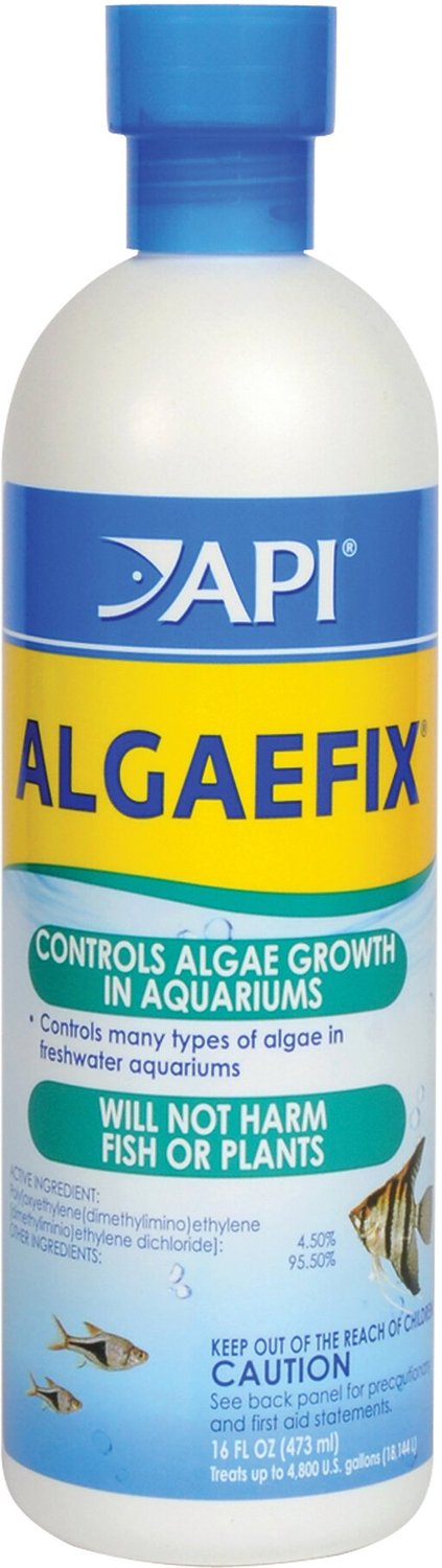 API Algaefix Algae Control Aquarium Solution, 16-oz bottle - Chewy.com