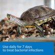API Turtle Fix Antibacterial Treatment, 4-fl oz bottle - Chewy.com