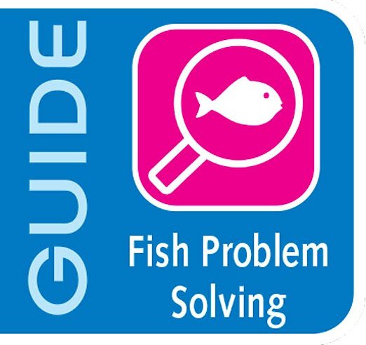 API Bettafix Antibacterial & Antifungal Betta Fish Infection Remedy, 1. ...