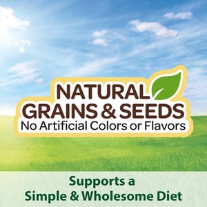 10 Best Dove & Pigeon Foods 2024: According to Reviews | Chewy