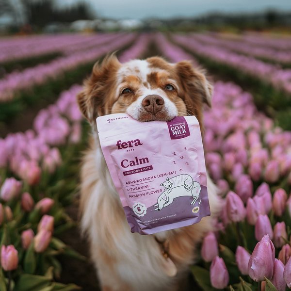 FERA PETS Calm Goat Milk Topper for Dogs & Cats, 60 count - Chewy.com