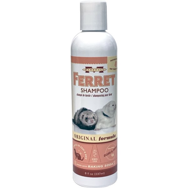 MARSHALL Tea Tree Shampoo for Ferrets, 8-oz bottle - Chewy.com