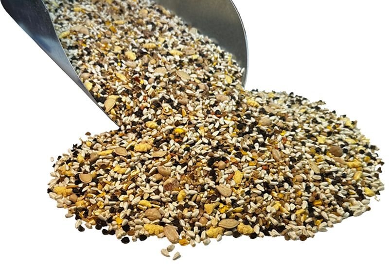 BAR ALE Parrot Mix Premium Parrot Food, 8-lb bag - Chewy.com