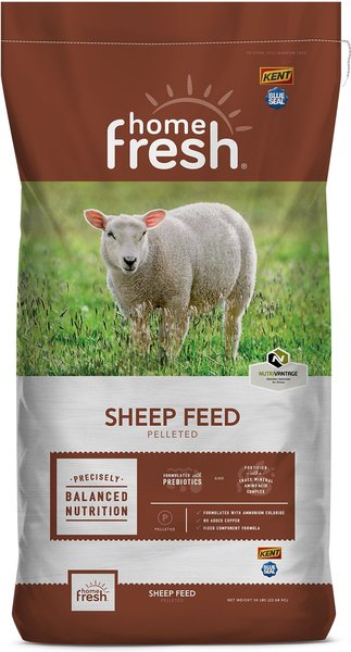 KENT / BLUE SEAL Home Fresh Shephard 16 Sheep Feed, 50-lb bag - Chewy.com