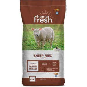 KENT / BLUE SEAL Home Fresh Shephard 16 Sheep Feed, 50-lb bag - Chewy.com