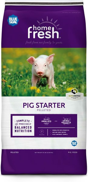 Out of Stock - KENT / BLUE SEAL Home Fresh Pig Starter Pig Feed, 50-lb ...