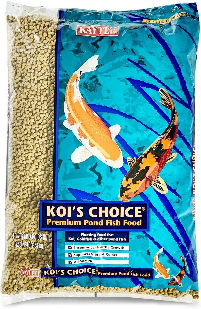 KAYTEE Koi's Choice Premium Fish Food, 10-lb bag - Chewy.com