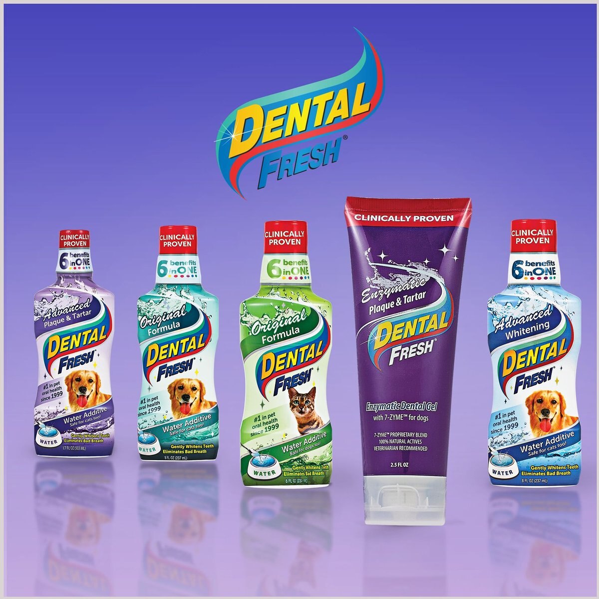 DENTAL FRESH Enzymatic Gel Finger Dog Toothbrush Kit, 2.5-fl oz - Chewy.com