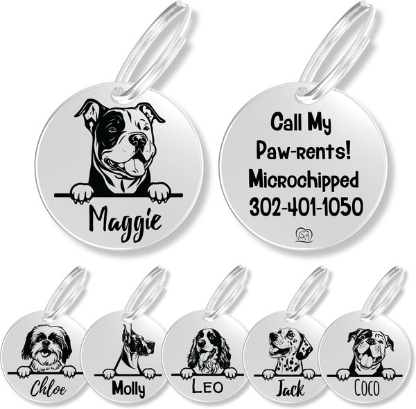 PAWFUREVER Dog Breed Stainless Steel Personalized Dog ID Tag, American ...
