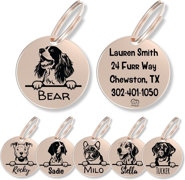 PAWFUREVER Dog Breed Stainless Steel Personalized Dog ID Tag, English ...
