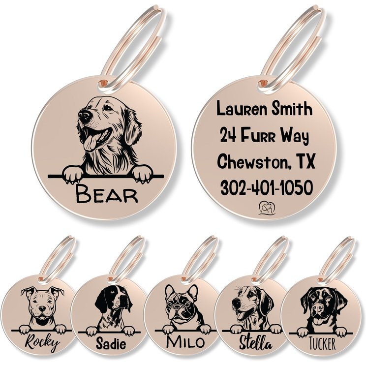 PERSONALIZED DOG ID TAGS (Free Shipping) | Chewy